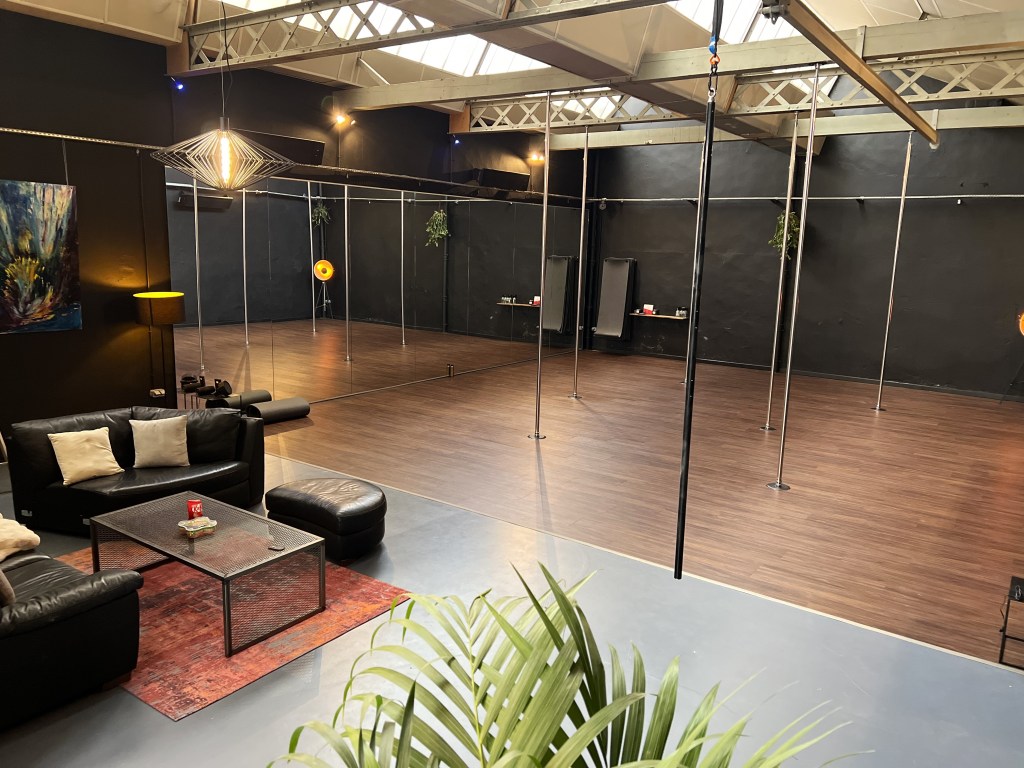 Midnight Pole Dance Studio Lyon – L’école de Pole Dance à Lyon centrée ...